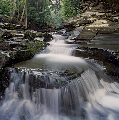 Shin Creek – Benjamin Swett